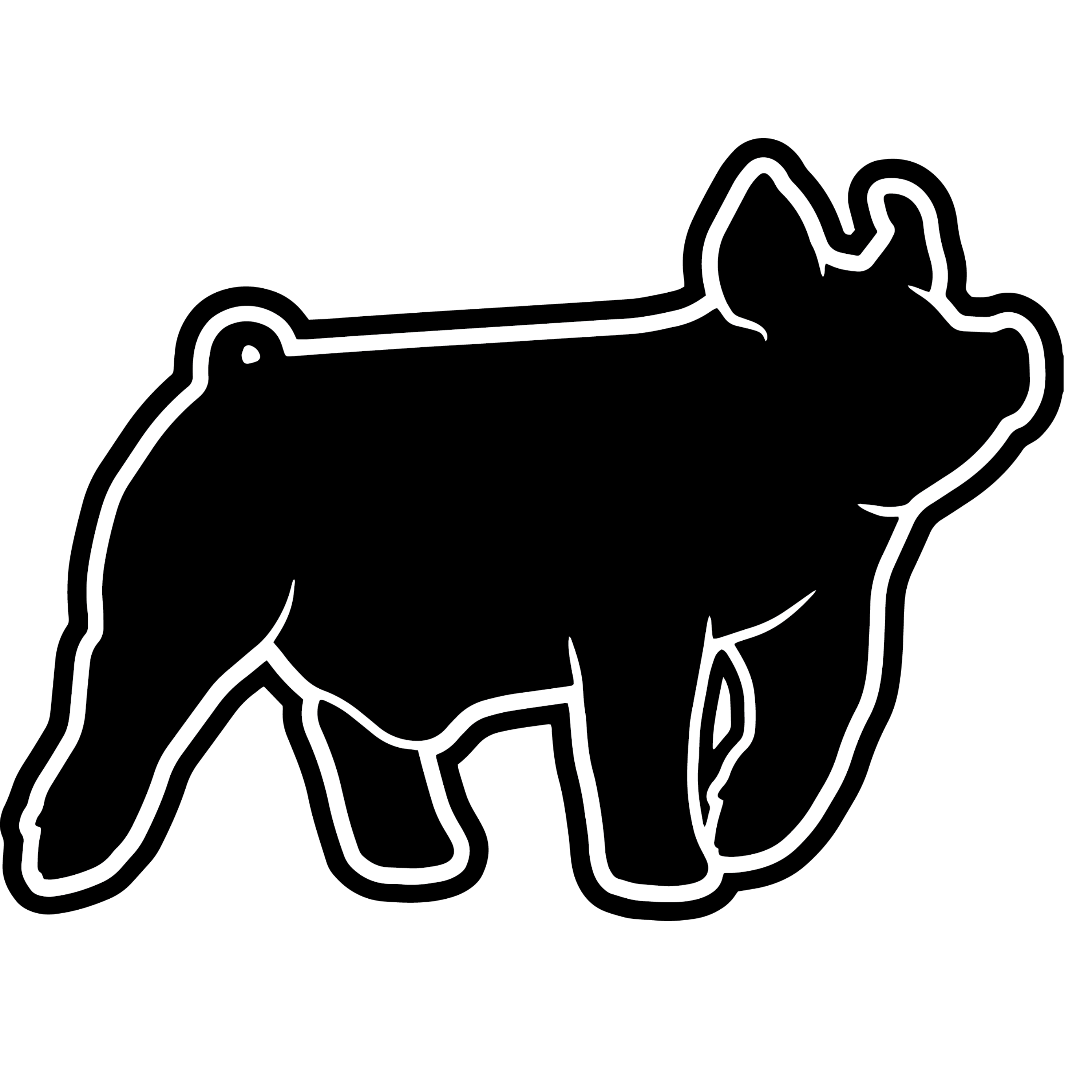 Pig – Goats With Lasers